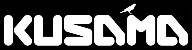 O que é Kusama (KSM)? Riscos e Potenciais. Vale a pena?