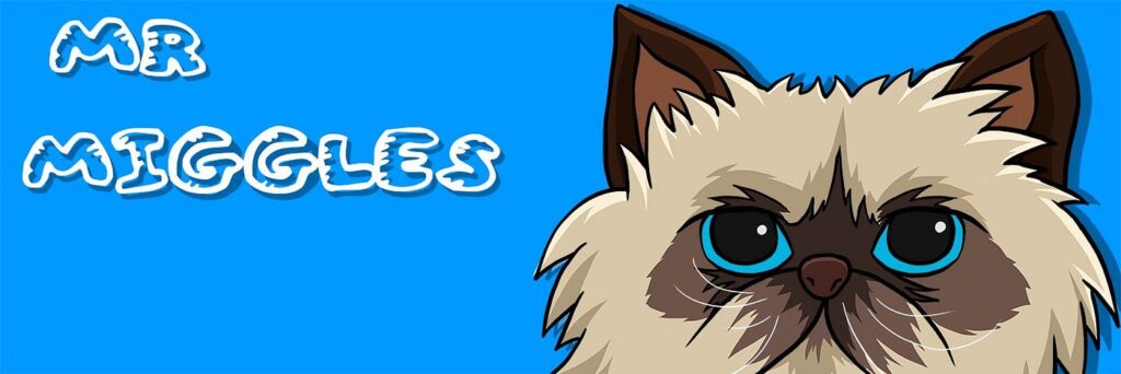 O que é a criptomoeda Mister Miggles (MIGGLES)? Vale a pena?